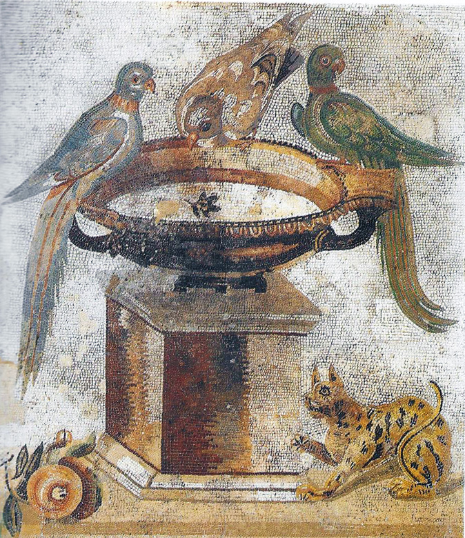 Cats in Pompeii - Pompeii cats - Pompeii pets